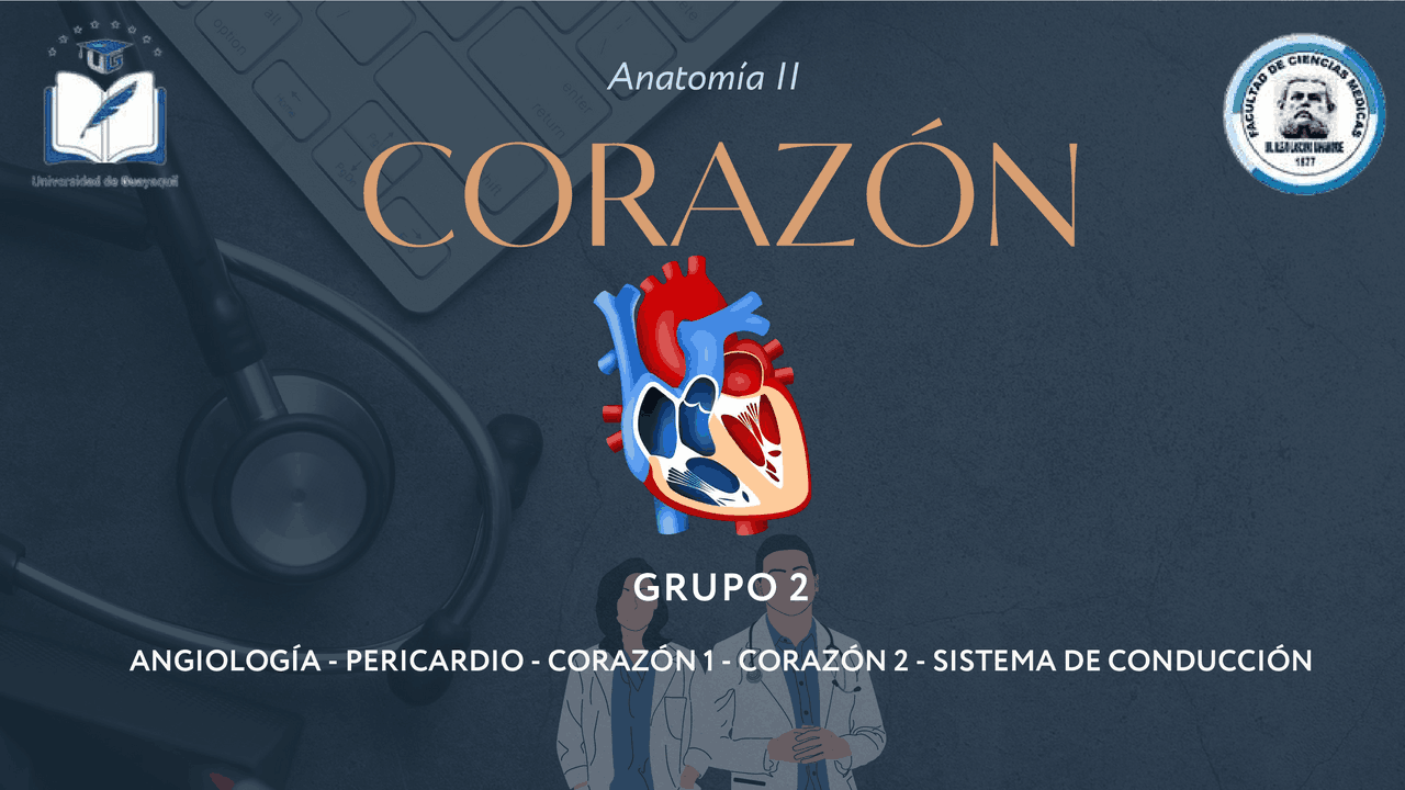 Anatomía del corazón | Esquemas y mapas conceptuales de Anatomía | Docsity