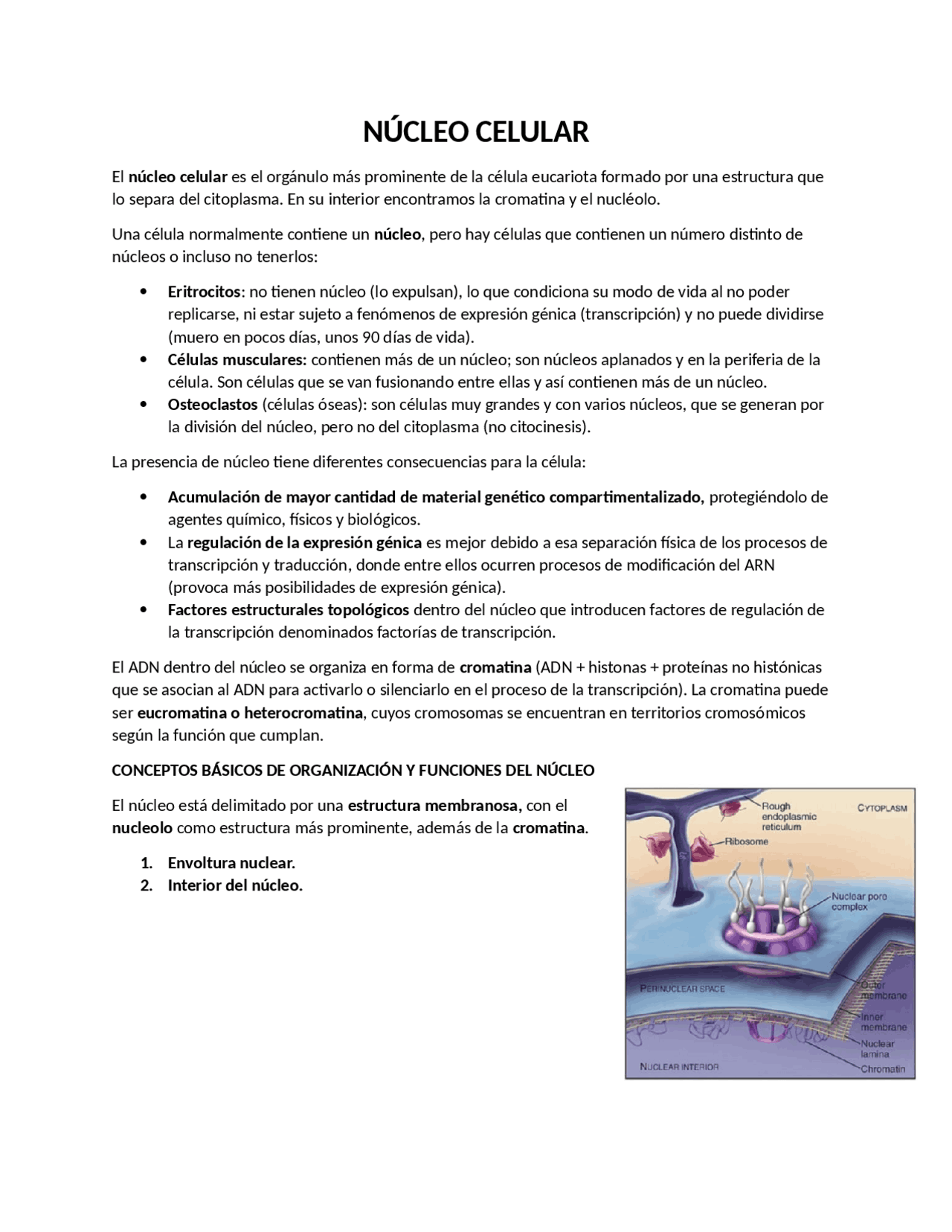Apuntes Biología Celular Aplicada Apuntes De Biología Celular Docsity