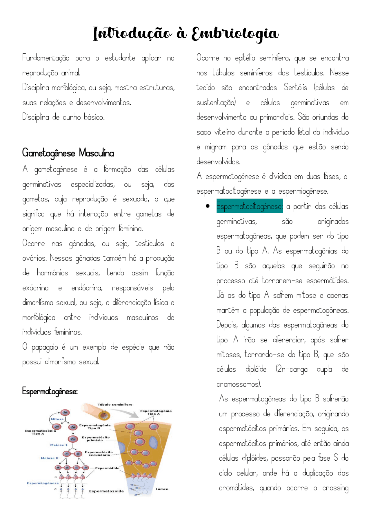 Resumo Introdução à Embriologia Slides Embriologia Docsity