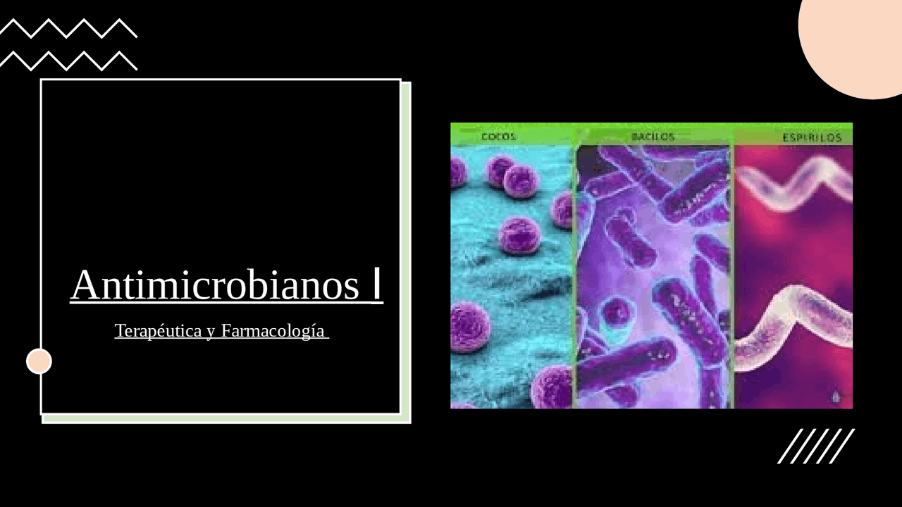 Antimicrobianos Apuntes De Farmacología Docsity