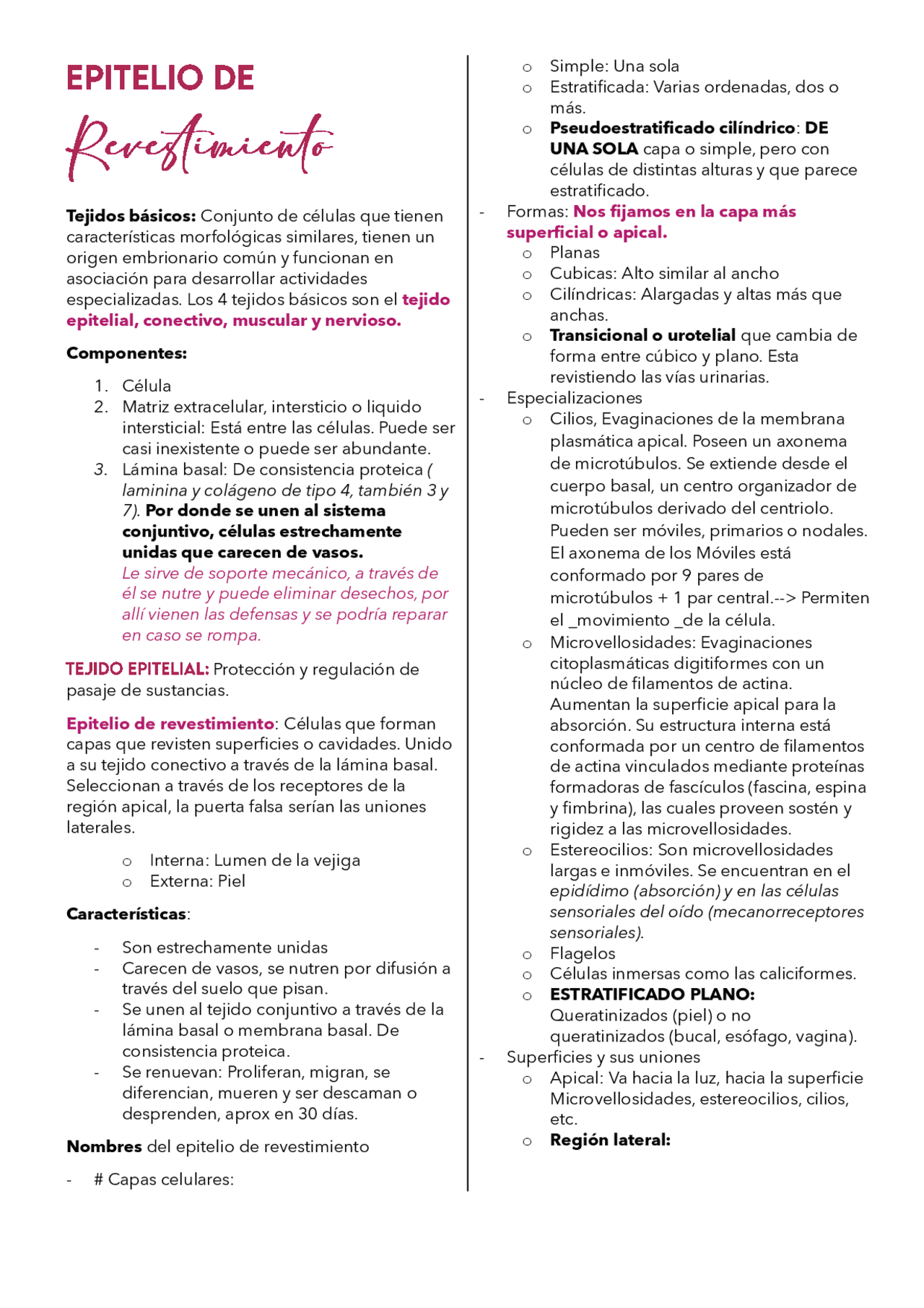 Epitelio De Revestimiento Apuntes De Histología Docsity