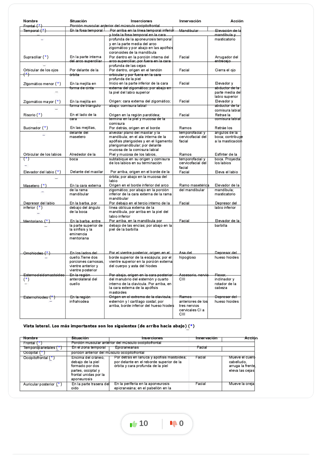 Musculos De Cabeza Y Cuello Resúmenes De Anatomía Aplicada Docsity