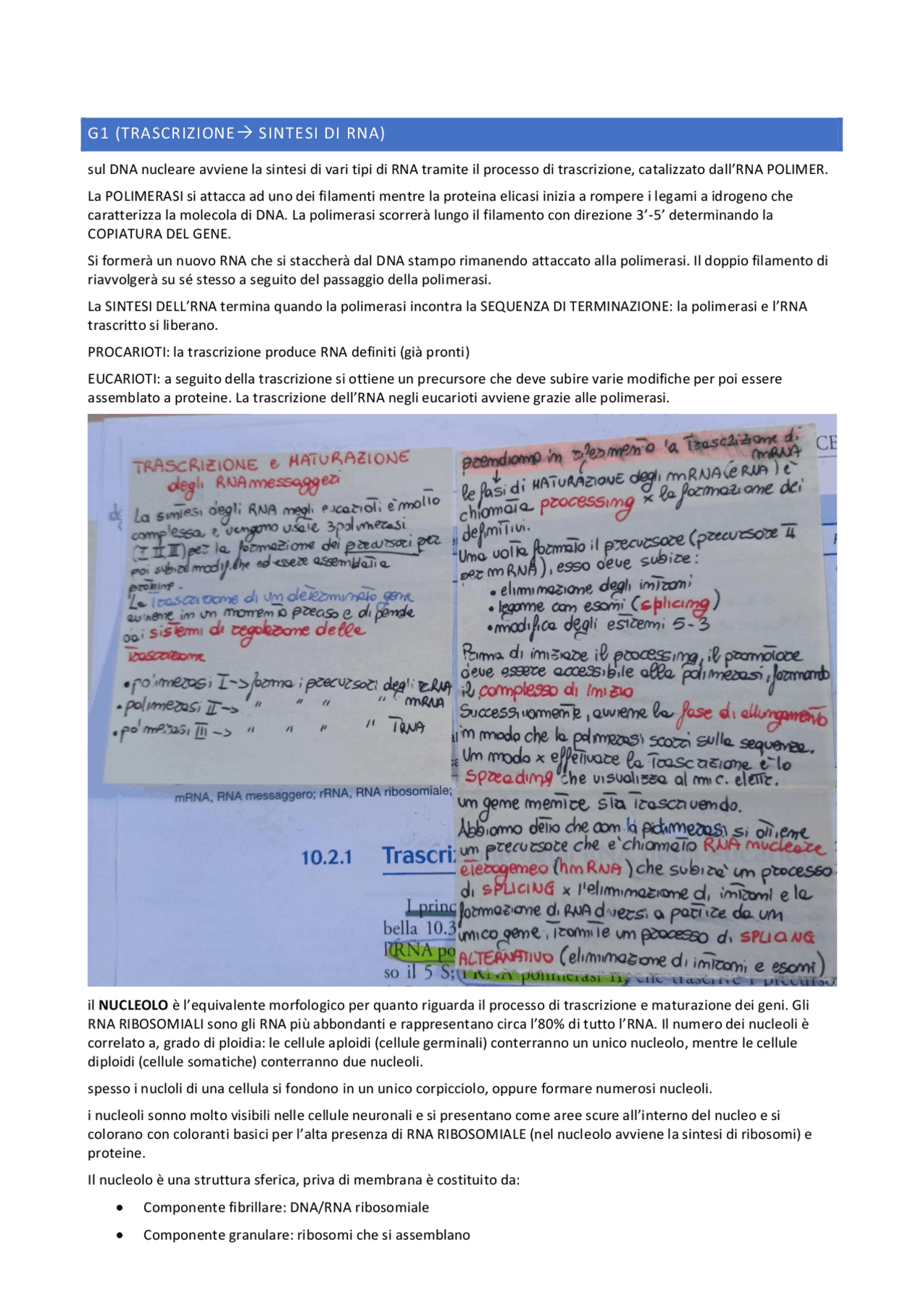programma di citologia | Sbobinature di Citologia | Docsity