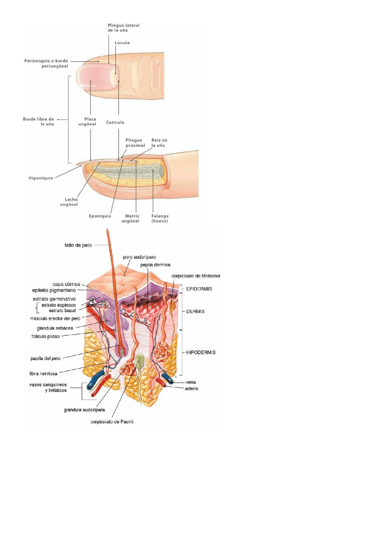 TU COLA 69 DE CAGADA HIJO DE TU CHINGADA MADRE,DEJAME SUBIR ESTE DOCUMENTO O TE METO UNA P ...