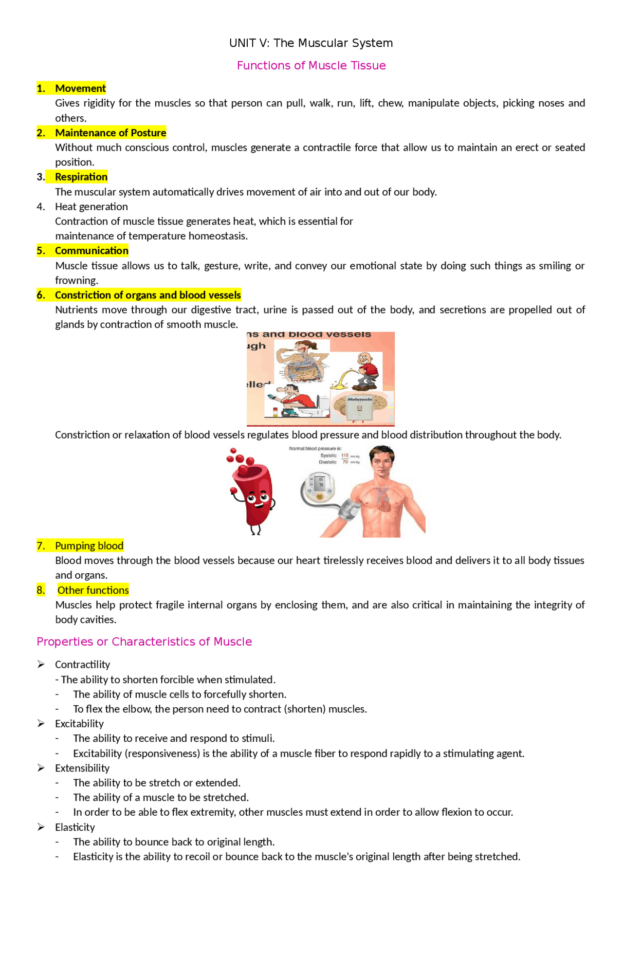 MUSCULAR SYSTEM NOTES ON ANAPHY | Lecture notes Anatomy | Docsity