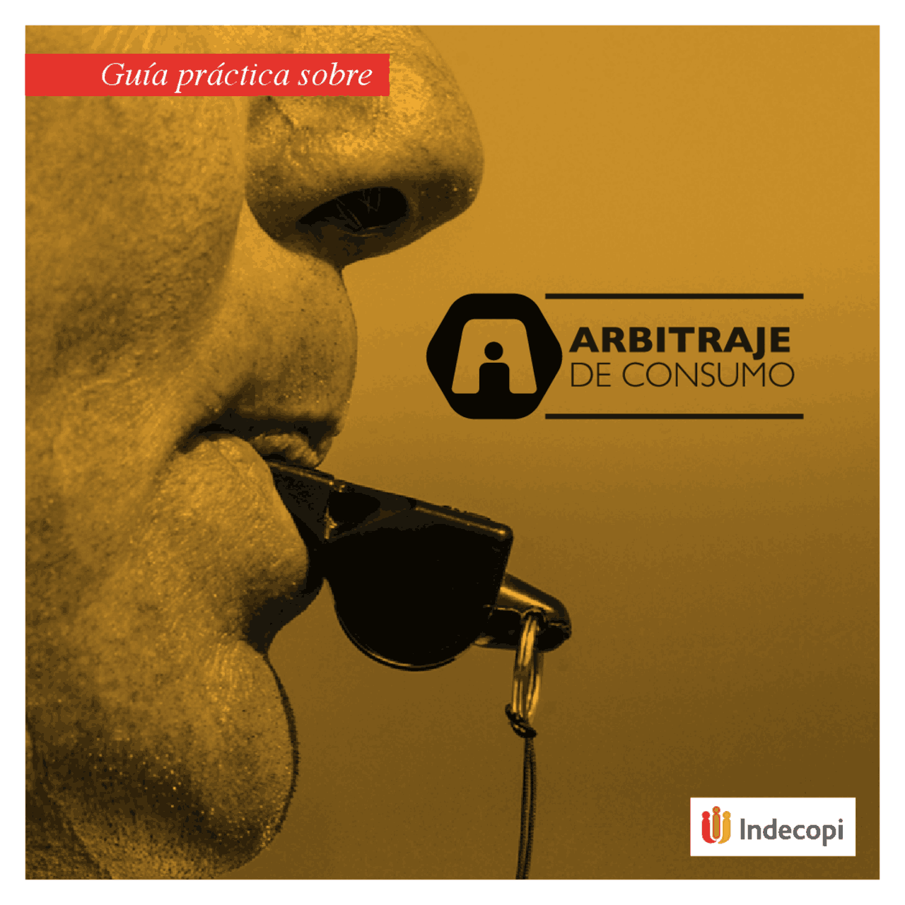 Guía De Arbitraje De Consumo Transcripciones De Derecho Docsity