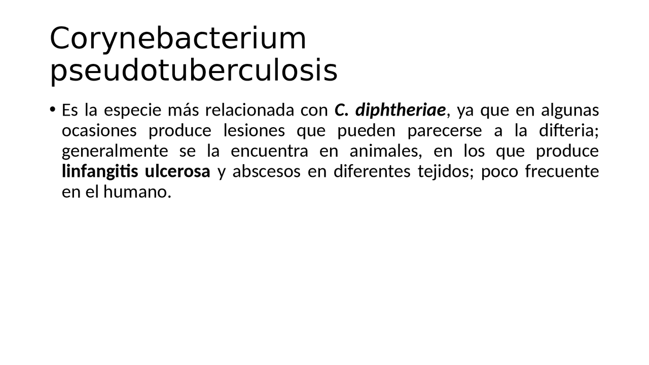 Corinebacterium e infecciones | Diapositivas de Microbiología | Docsity