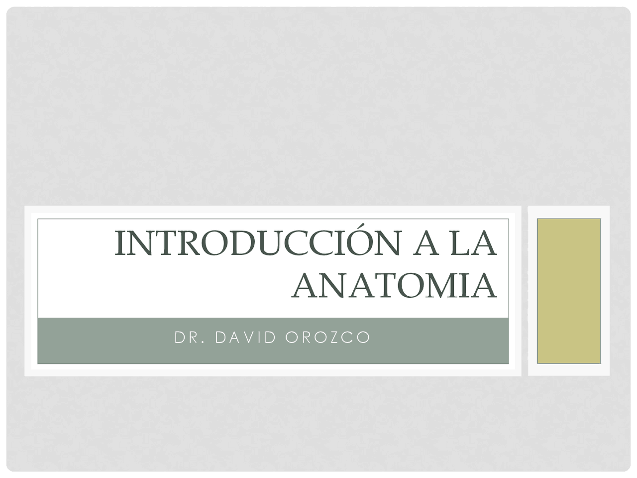 Generalidades De Anatomía Esquemas Y Mapas Conceptuales De Anatomía