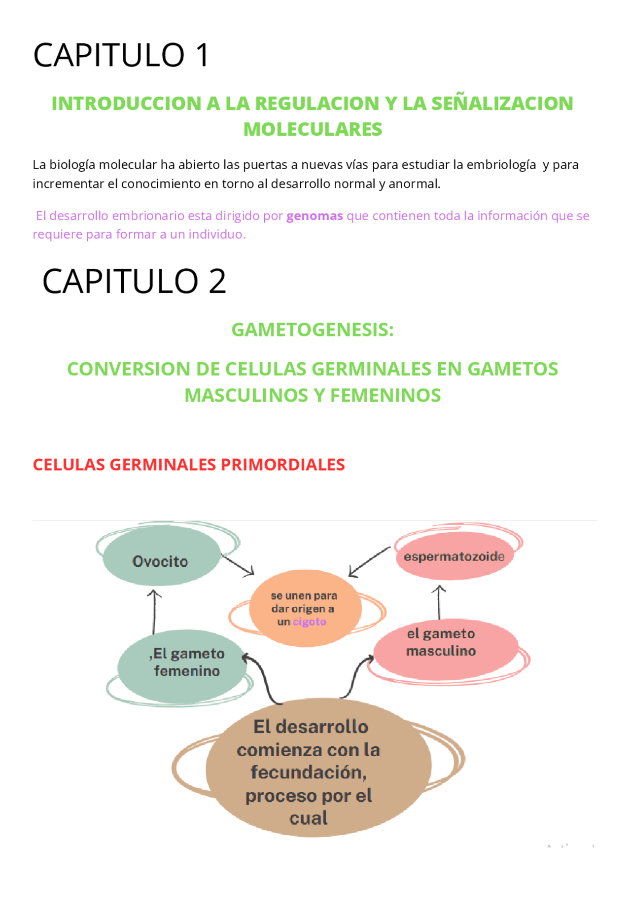 Apuntes De 2capitulo De Langman Apuntes De Embriología Docsity