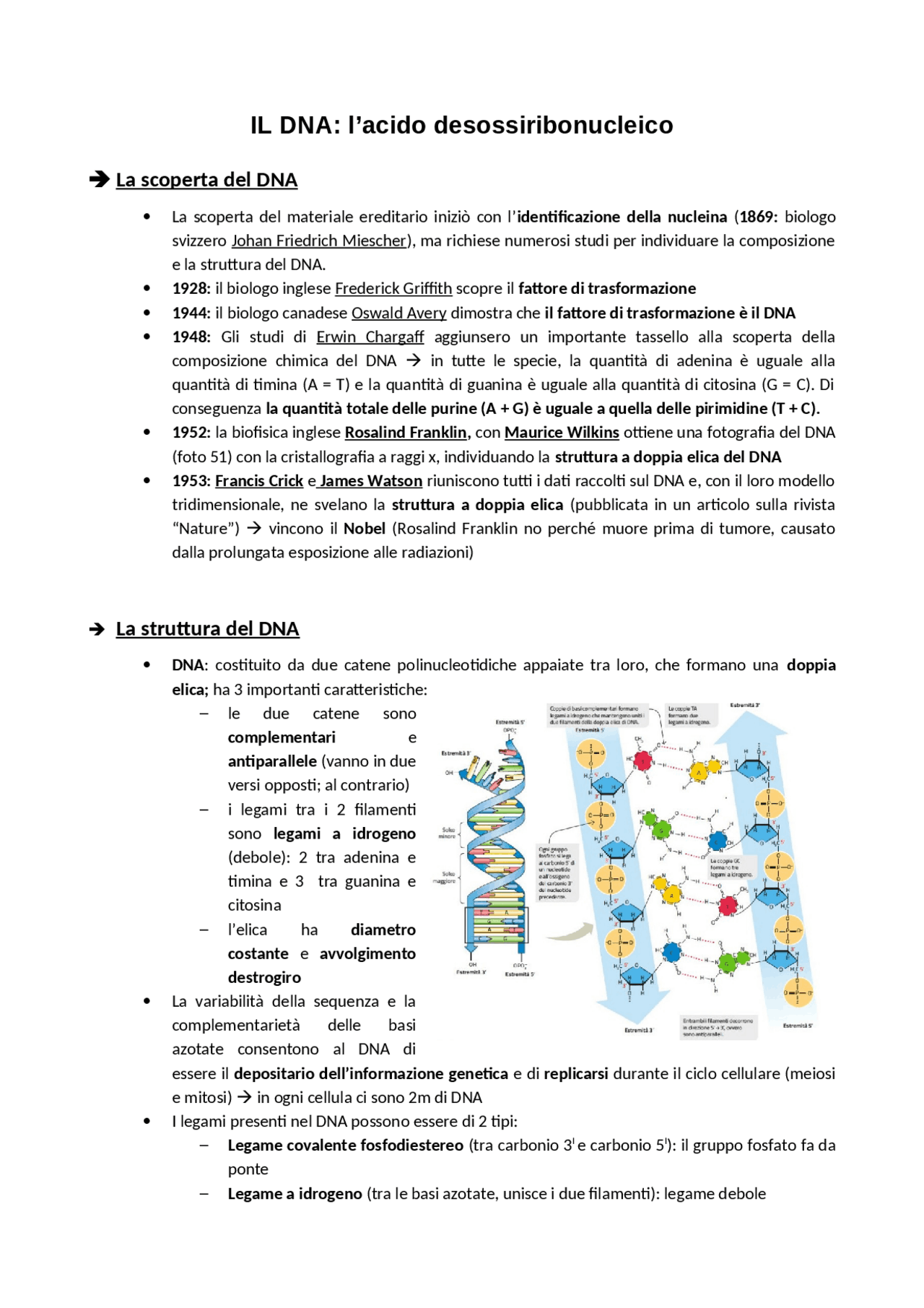 Scienze Naturali Appunti Su Dna Schemi E Mappe Concettuali Di Scienze