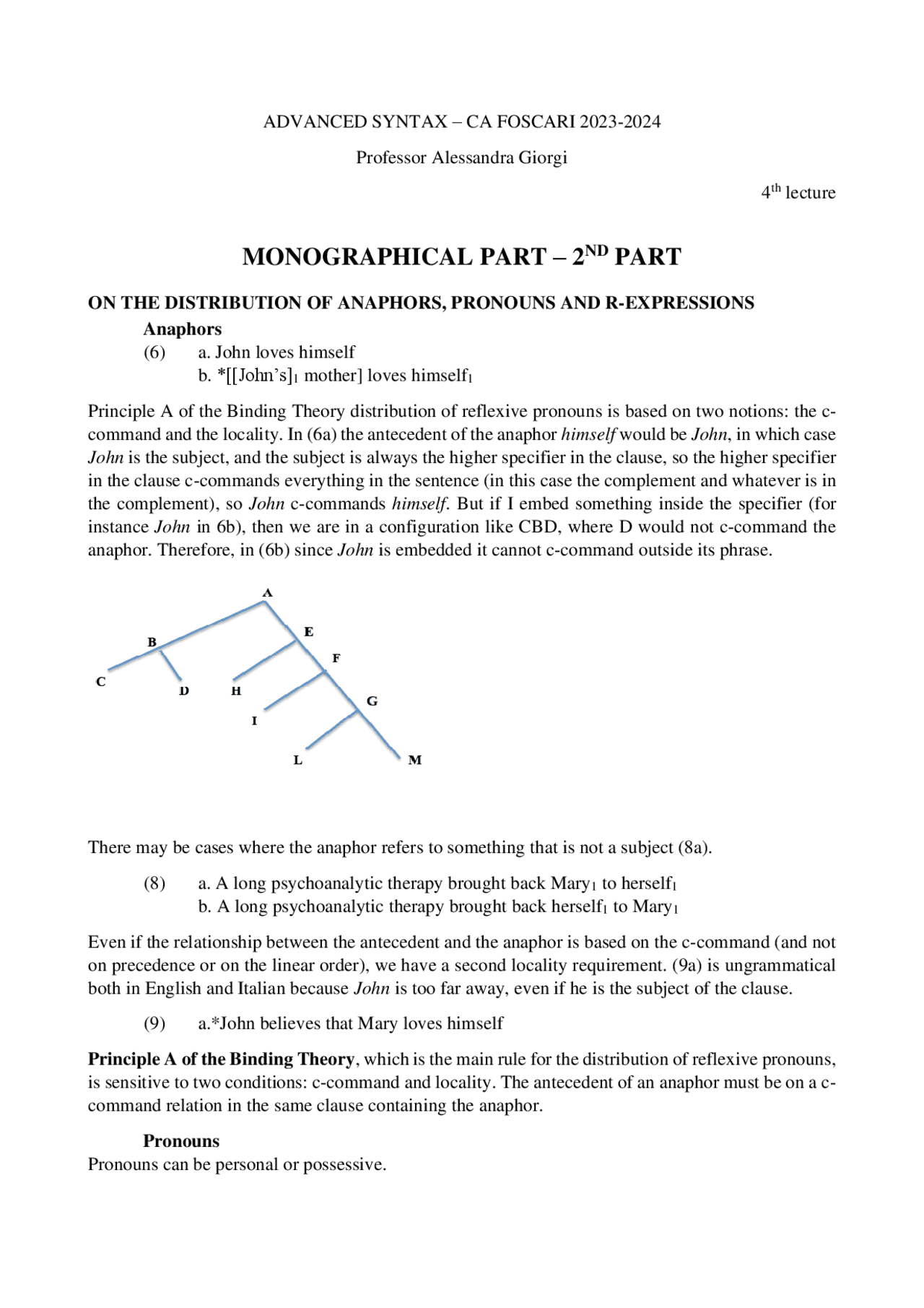 Fourth Lecture Of Advanced Syntax Ca Foscari 2023 2024 Sbobinature