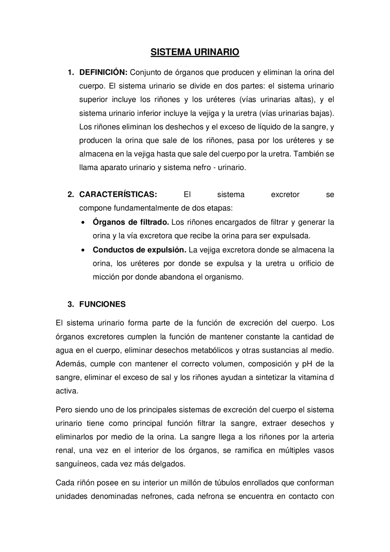 Informe Del Sistema Urinario Resúmenes De Histología Docsity