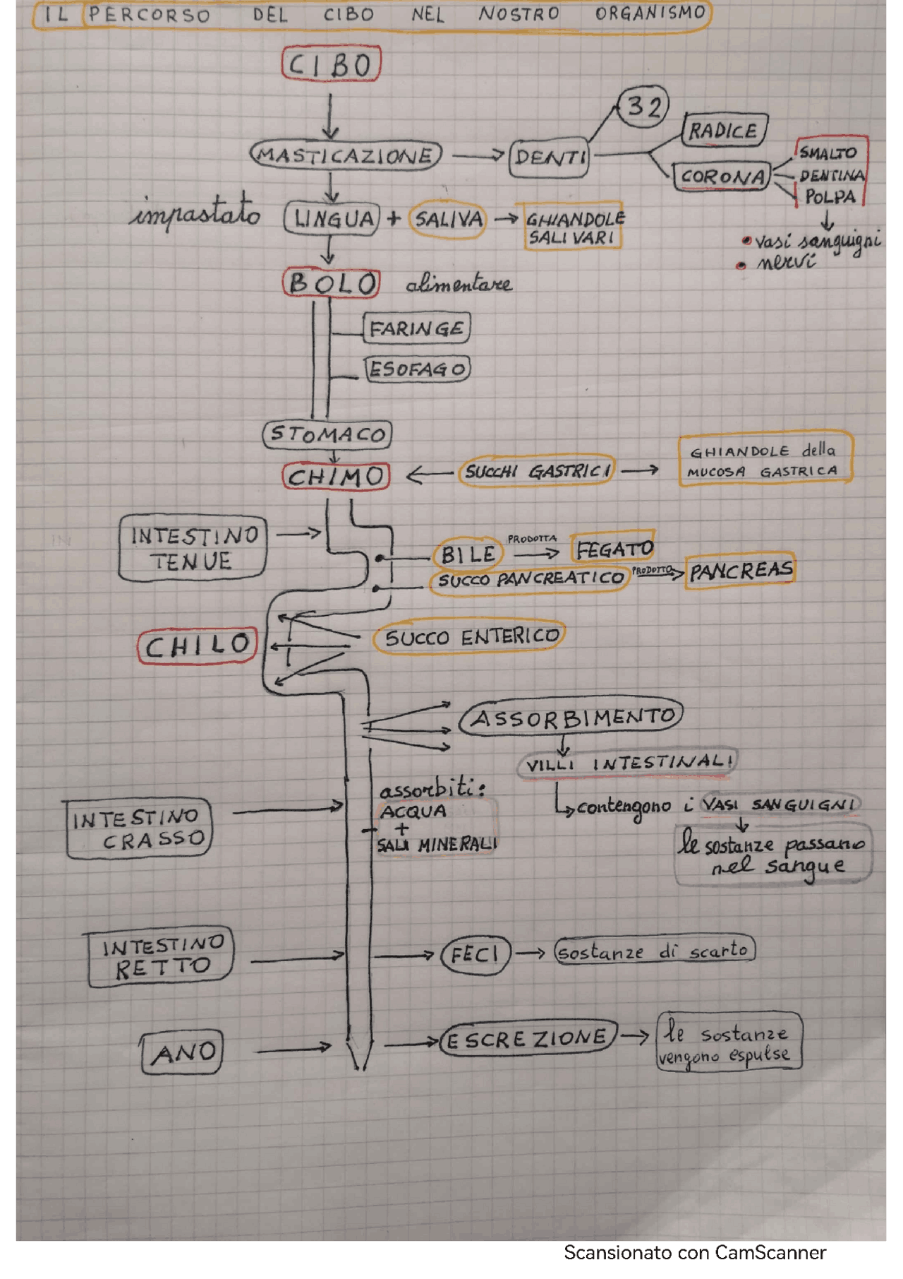 Educazione motoria per la scuola | Schemi e mappe concettuali di ...