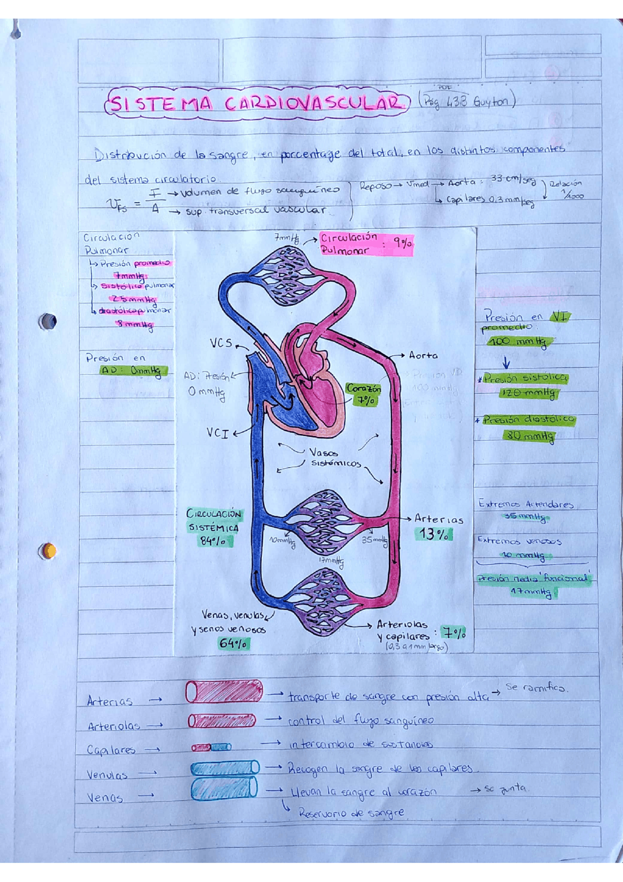 Segundo Parcial Fisio Apuntes De Fisiología Humana Docsity