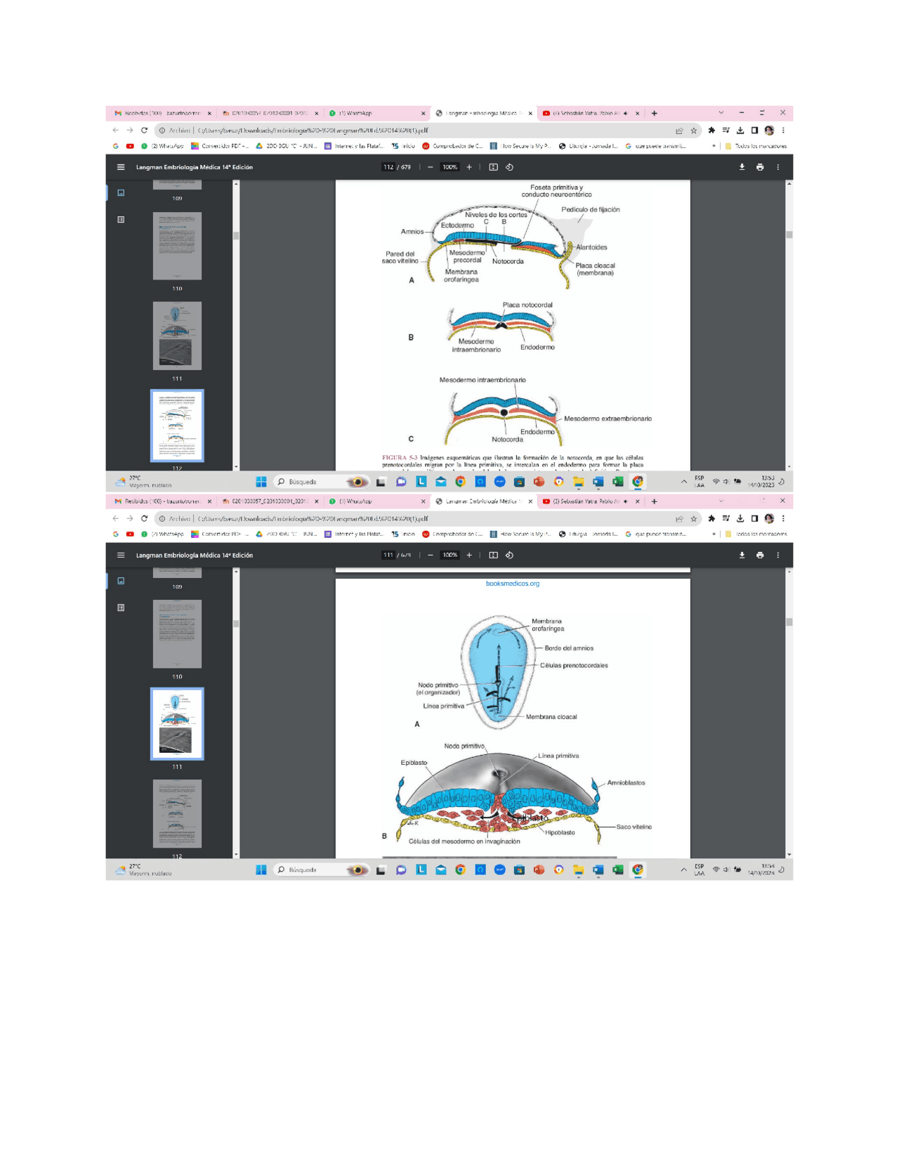 Dibujos sobre ciencias y mas | Diapositivas de Ciencias de la Tierra y del Medio Ambiente | Docsity