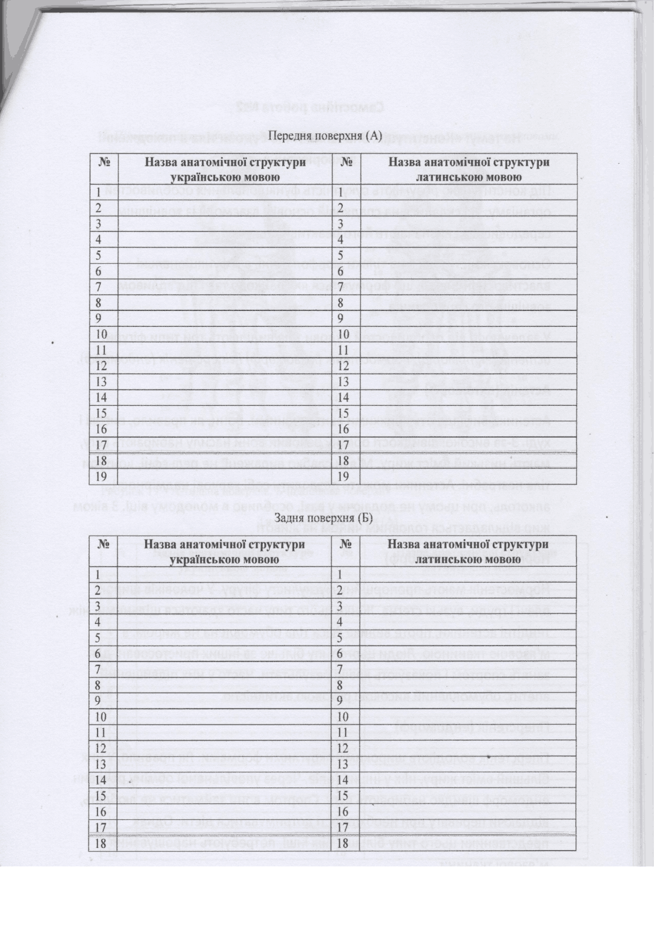 Анатомія людини 239958358302 Схемы Правоведение Docsity