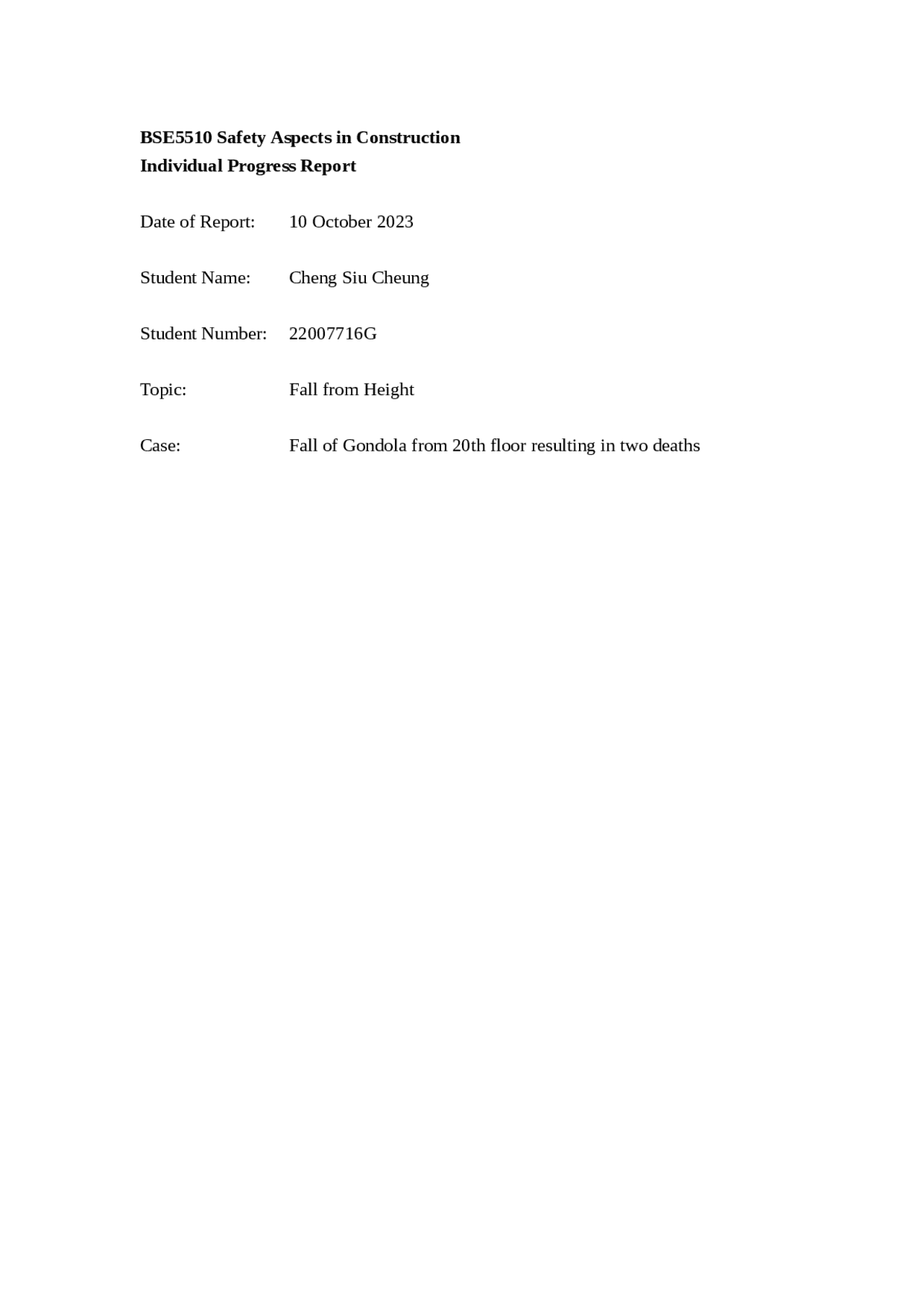 Individual Progress Report | Assignments Safety and Fire Engineering | Docsity