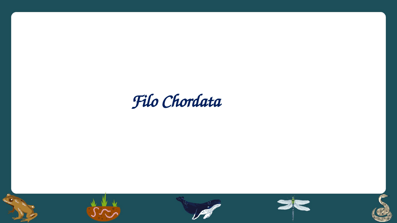 Slides Cordados Peixes Slides Biologia Docsity