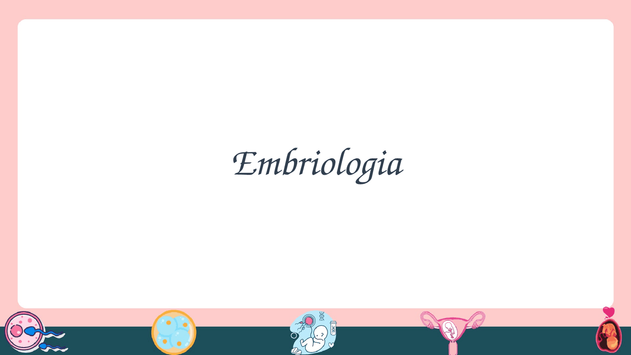 Slides Embriologia Slides Biologia Docsity