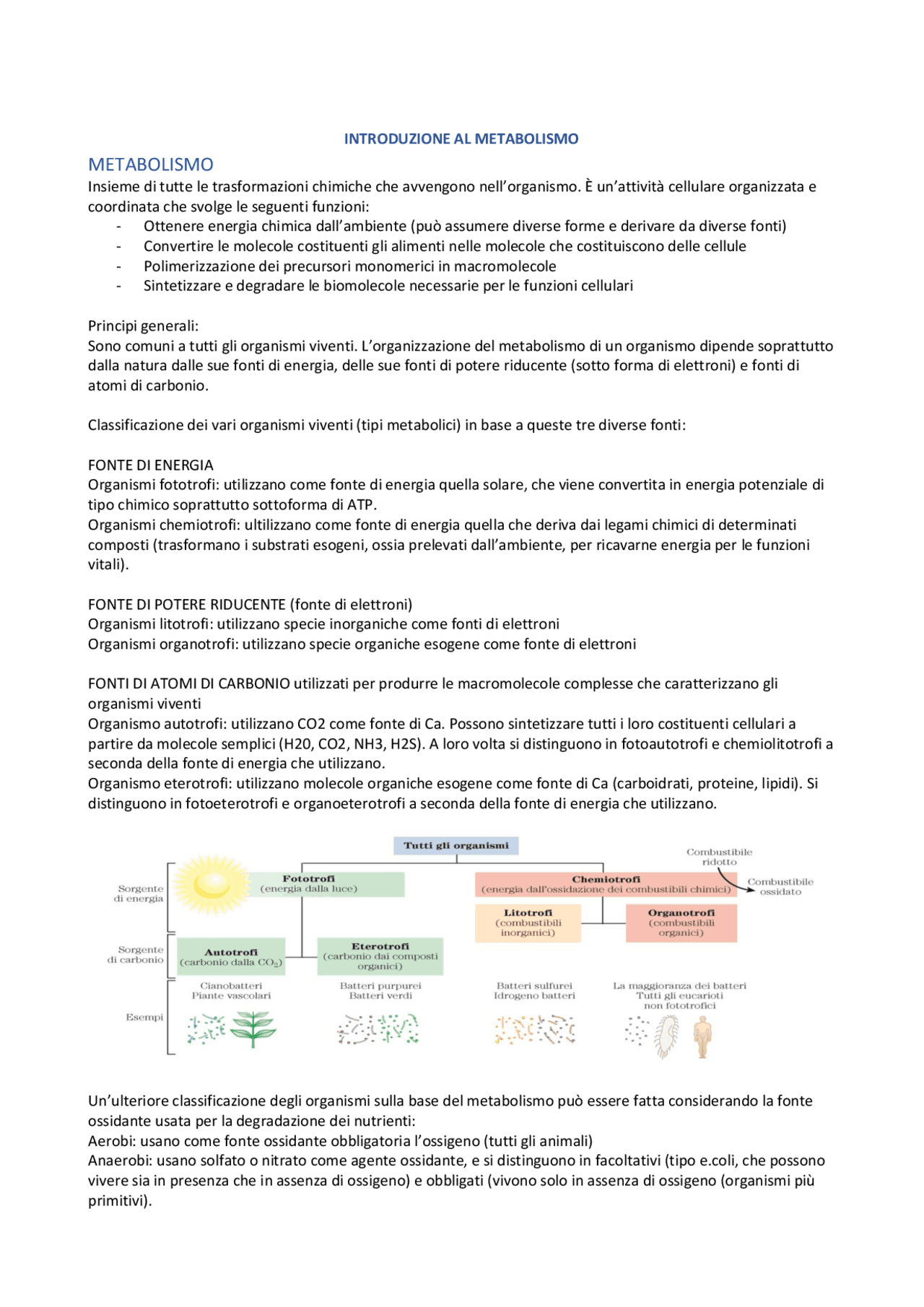 Nutrizione A Livello Metabolico Lm61 San Raffaele Nutrizione Prove D