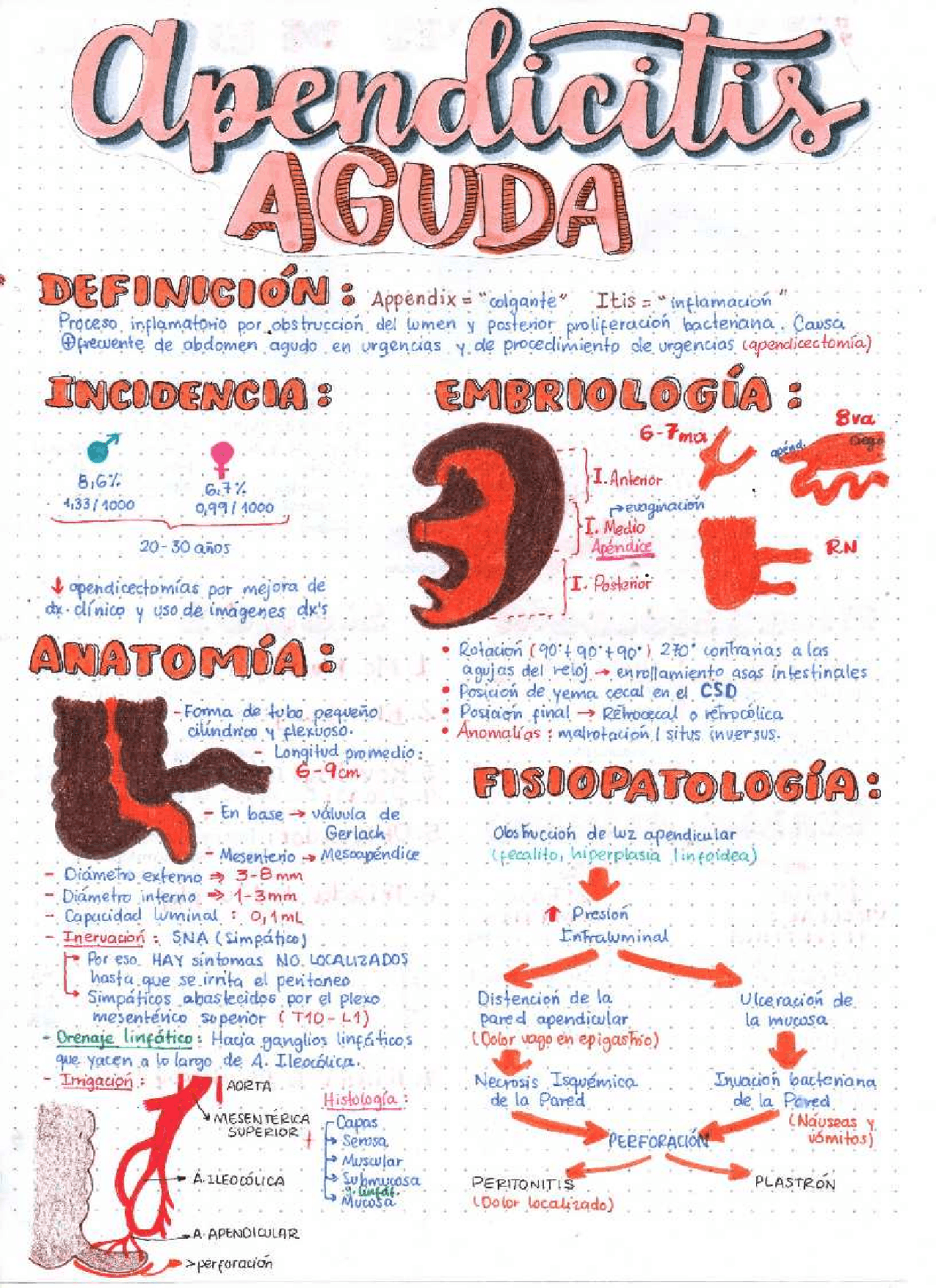 Apendicitis Aguda Fases Cx Etc Apuntes De Gastroenterología Docsity