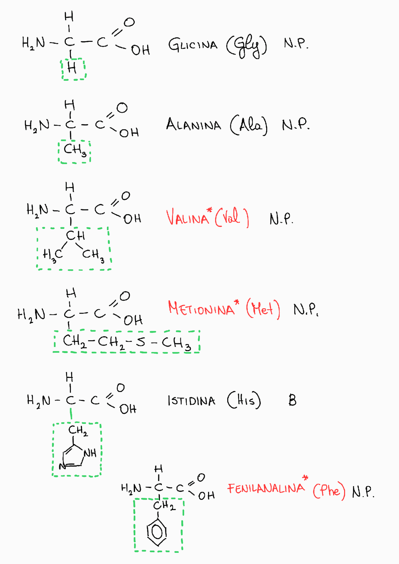 Formule Di Struttura Amminoacidi Schemi E Mappe Concettuali Di