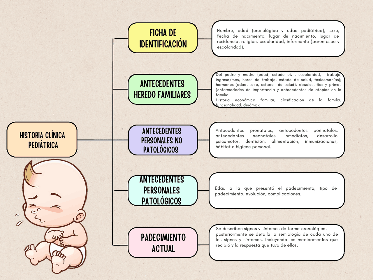 Control Del Niño Sano Apuntes De Pediatría Docsity