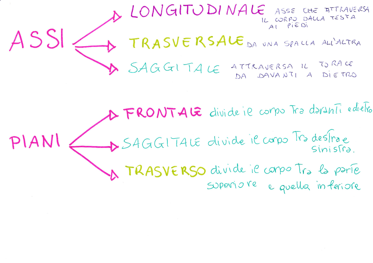 Gli assi e i piani del corpo umano | Schemi e mappe concettuali di ...