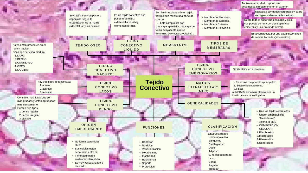 Trata sobre los medios de hardware y Software pero en el caso de la medicina integral | Esquemas ...