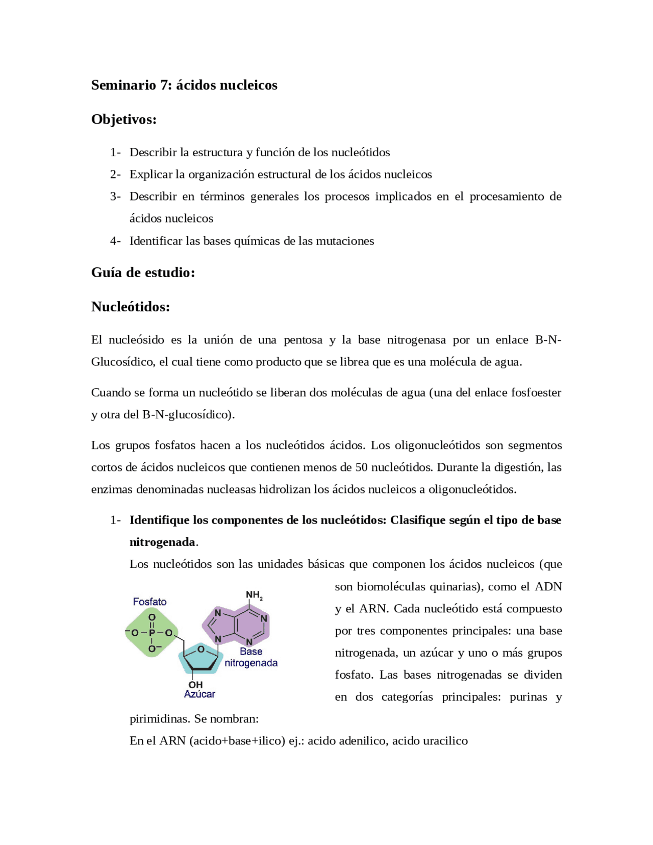 Todo Acerca De Acidos Nucleicos Apuntes De Bioquímica Docsity