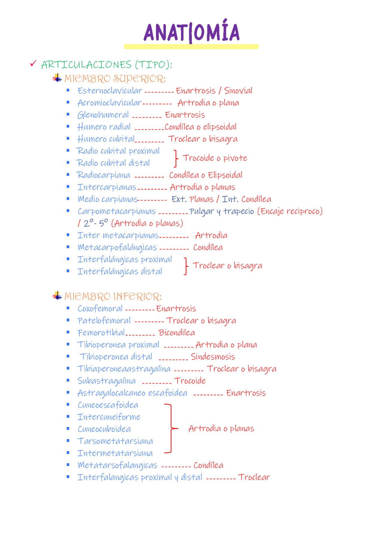 Miembro Inferior Y Superior Apuntes De Anatomía Docsity