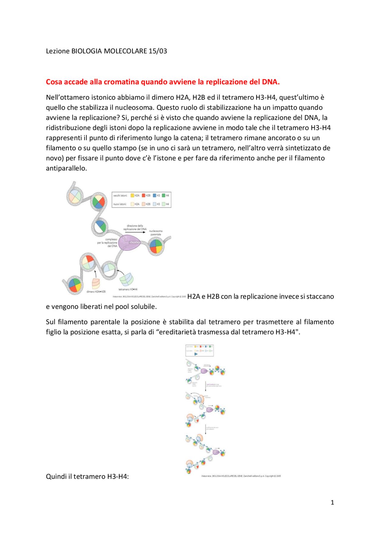 Sbobine Lezione Biologia Molecolare Schemi E Mappe Concettuali Di