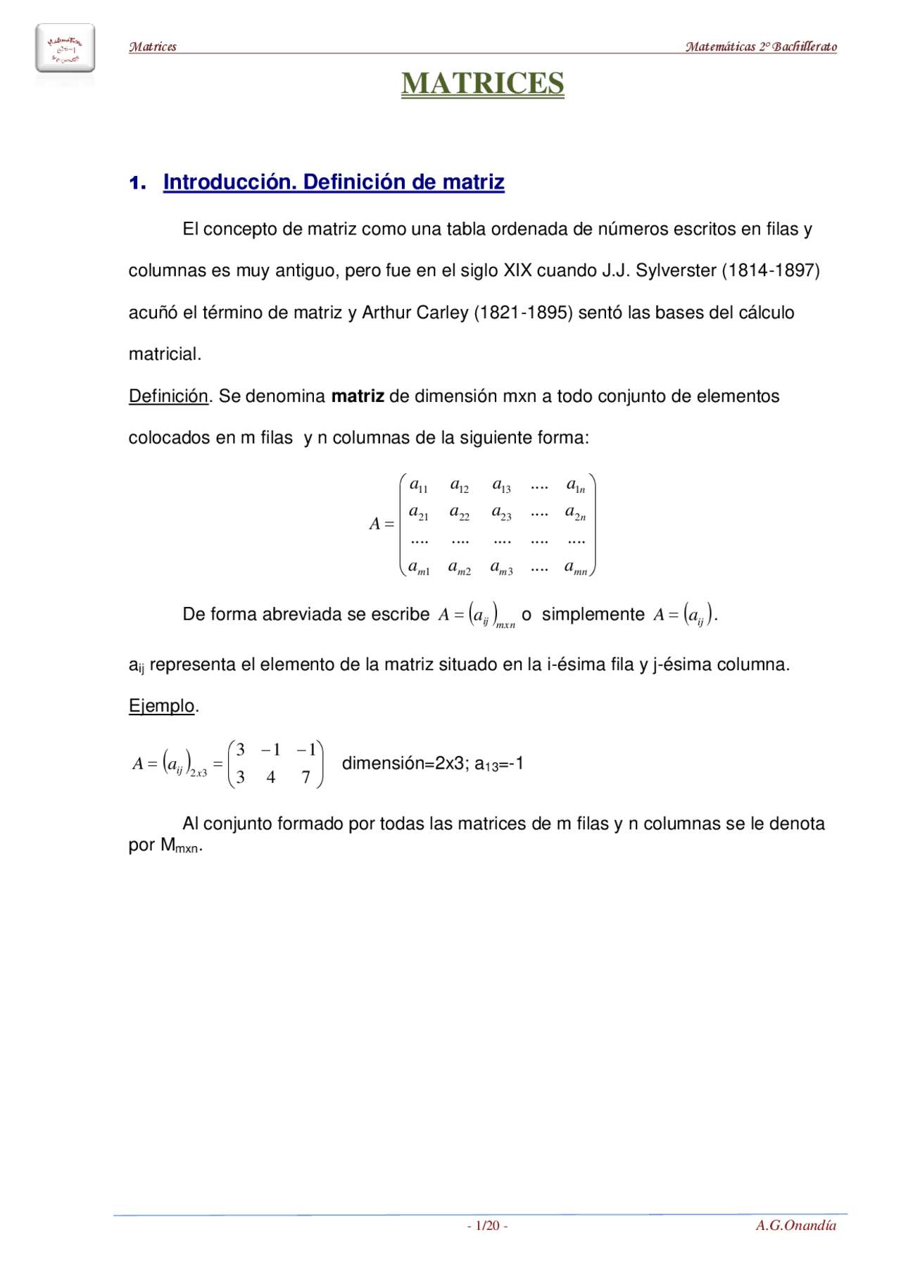 Matrices Selectividad Apuntes De Matemáticas Docsity