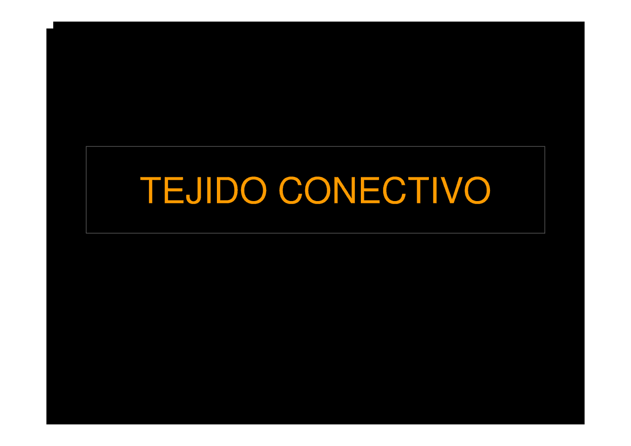 Tejido Conectivo Histología Diapositivas De Histología Docsity