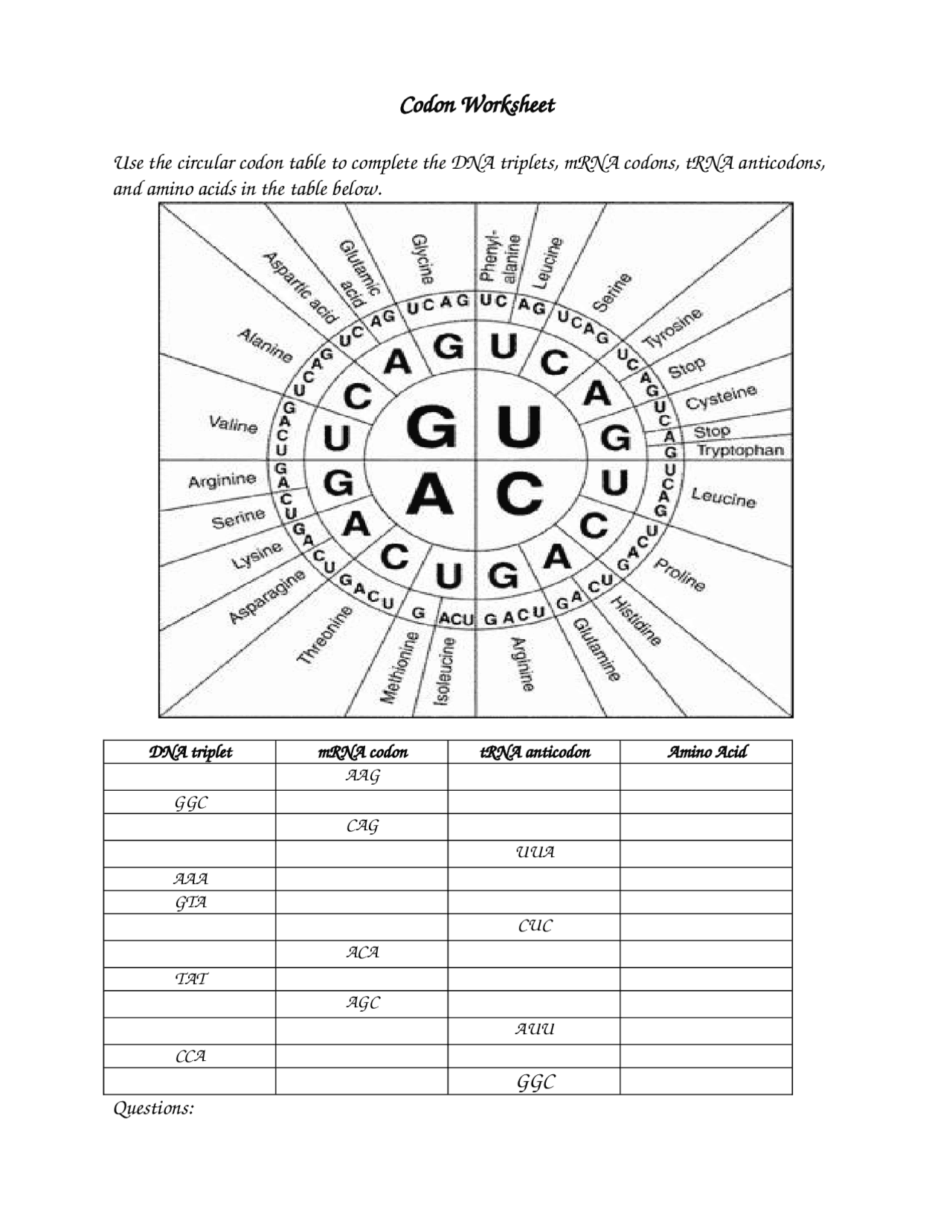 Amino Acid Codon Table Pdf | Cabinets Matttroy