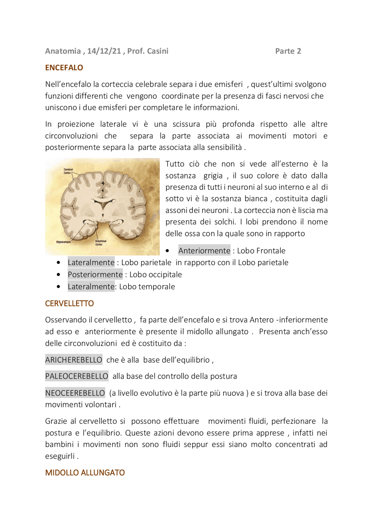 Anatomia 1 Infermieristica Appunti Di Anatomia I Docsity