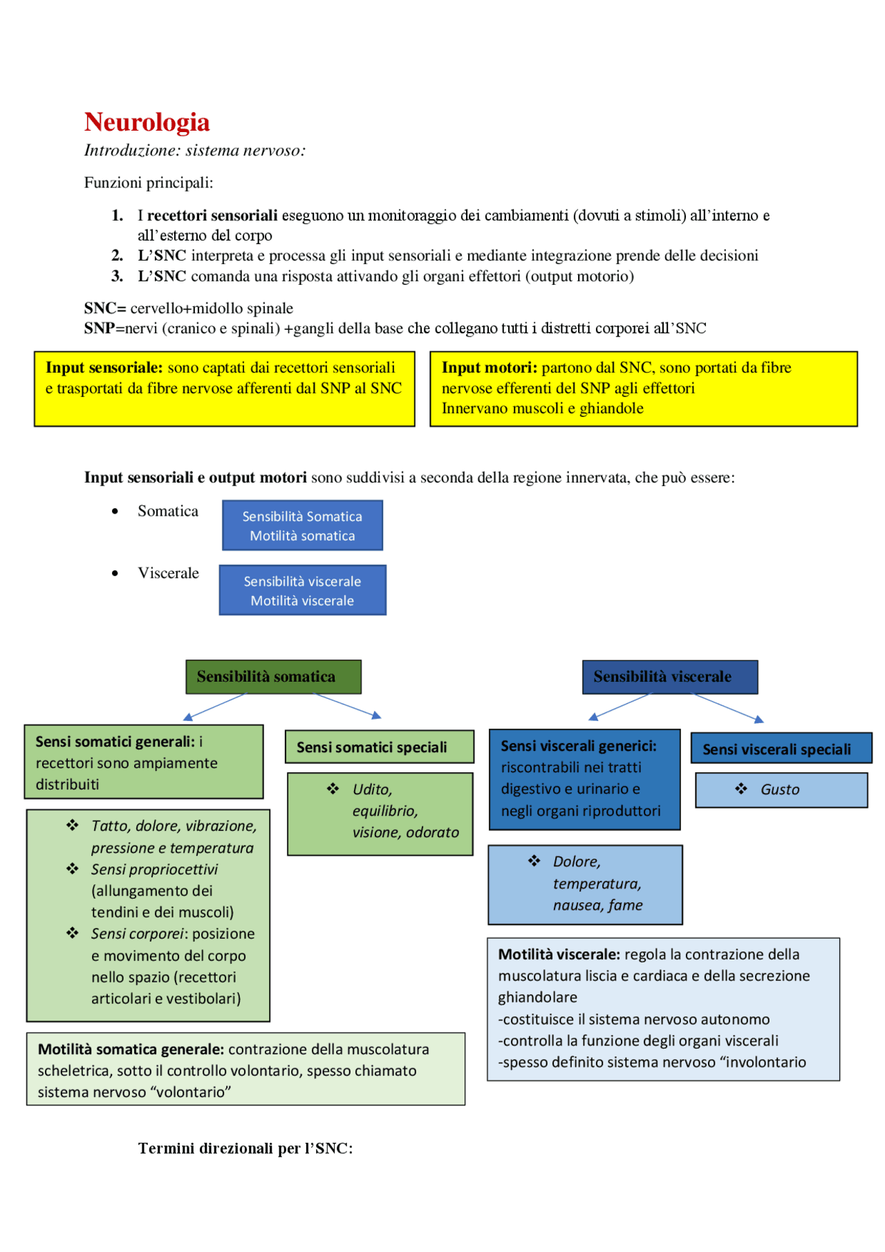 Introduzione Alla Neurologia Schemi E Mappe Concettuali Di Neurologia