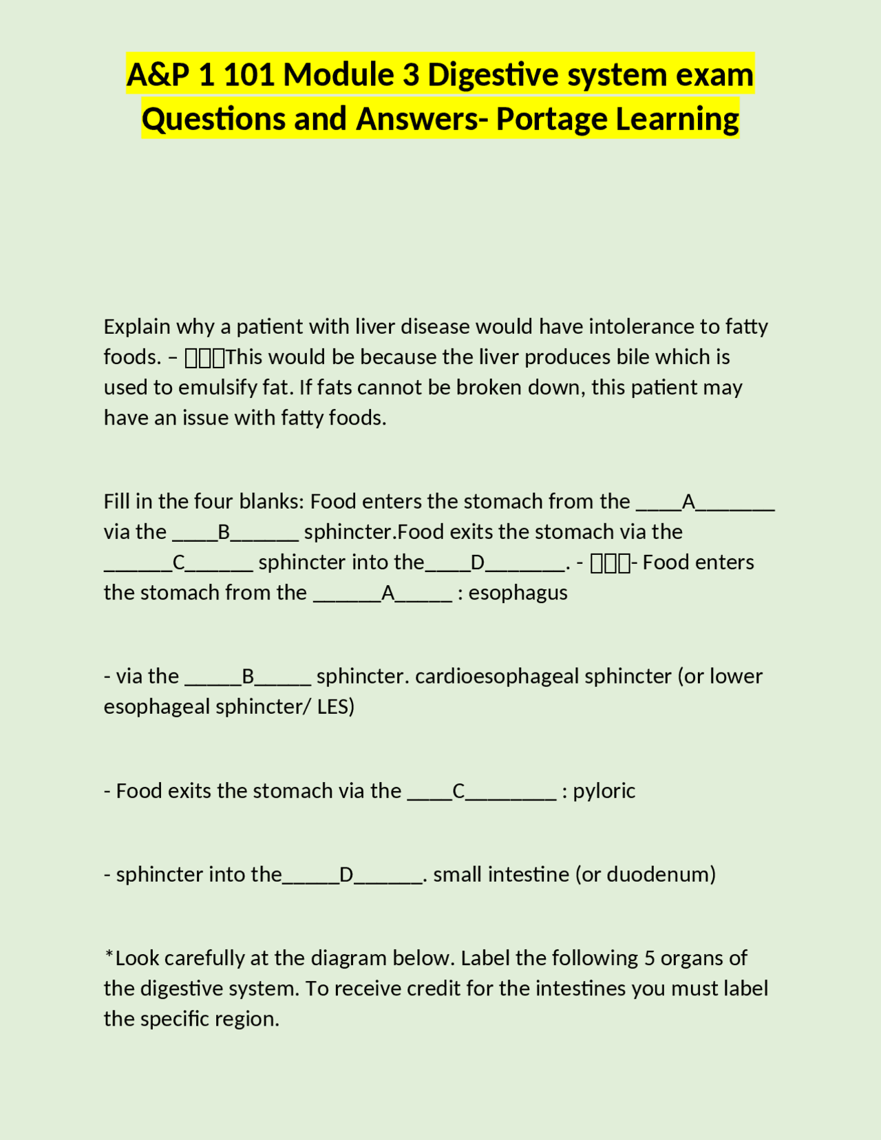 Aandp 1 101 Module 3 Digestive System Exam Questions And Answers Portage