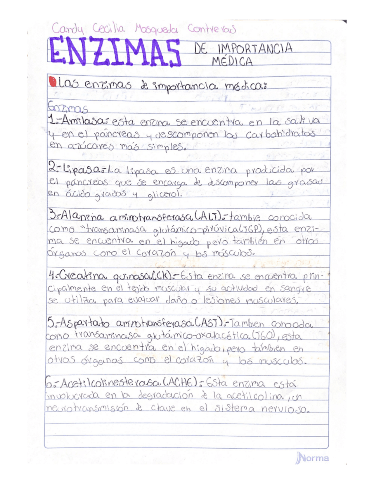 Enzimas De La Materia Apuntes De Bioquímica Docsity