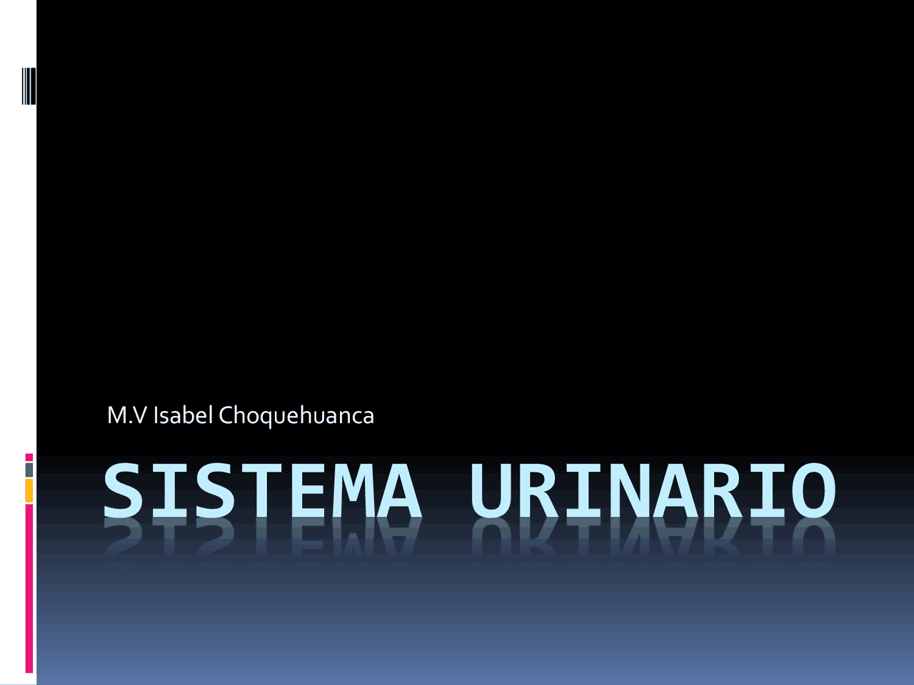 SISTEMA URINARIO PAPUS | Esquemas y mapas conceptuales de Histología | Docsity