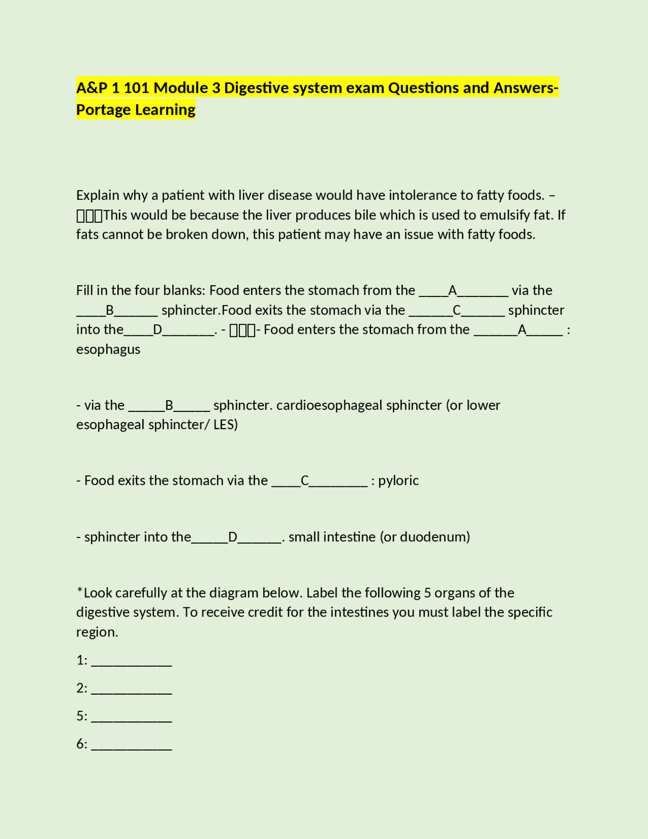 Aandp 1 101 Module 3 Digestive System Exam Questions And Answers Portage
