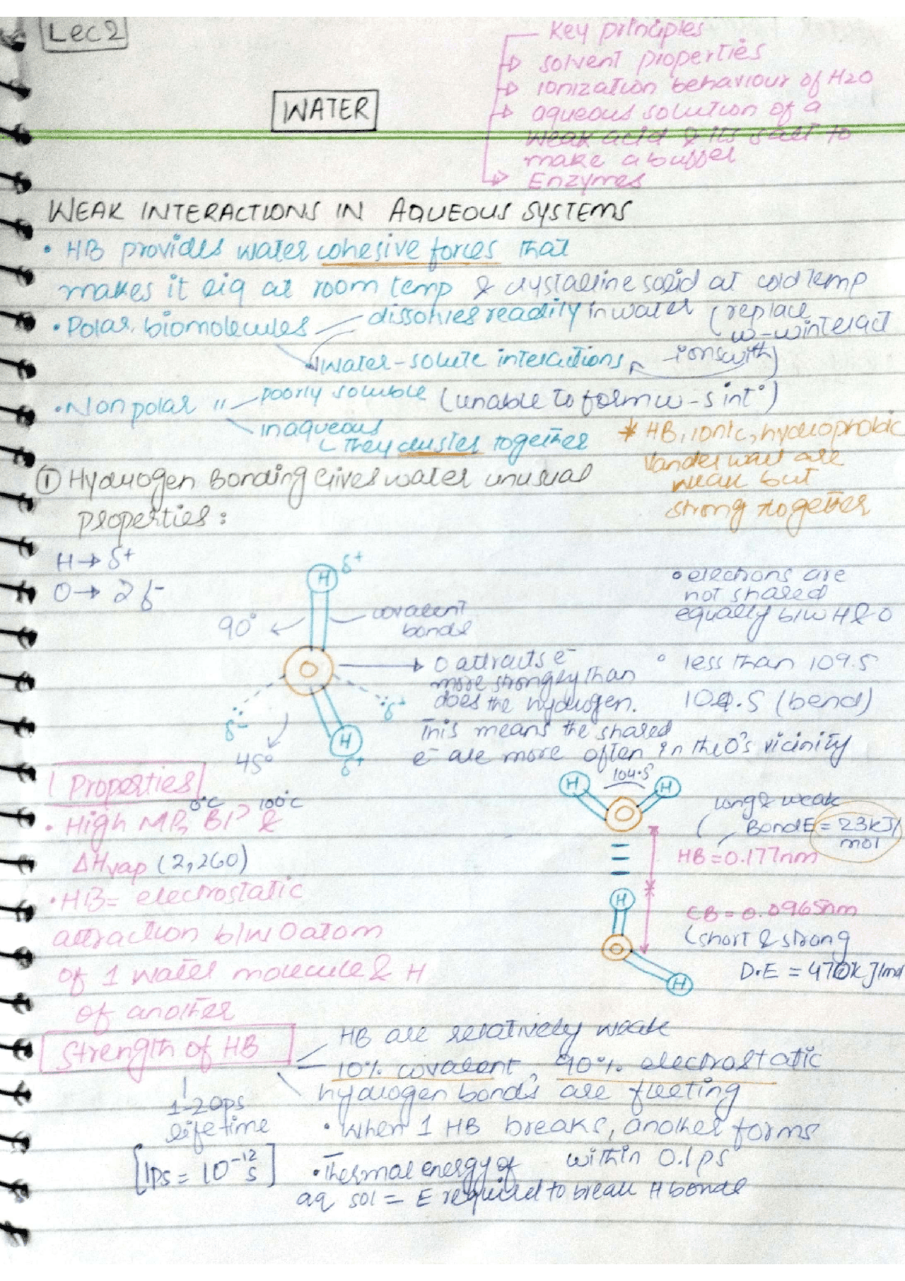 Summary Of Chapter 2 From Lehninger Book Of Biochemistry Summaries