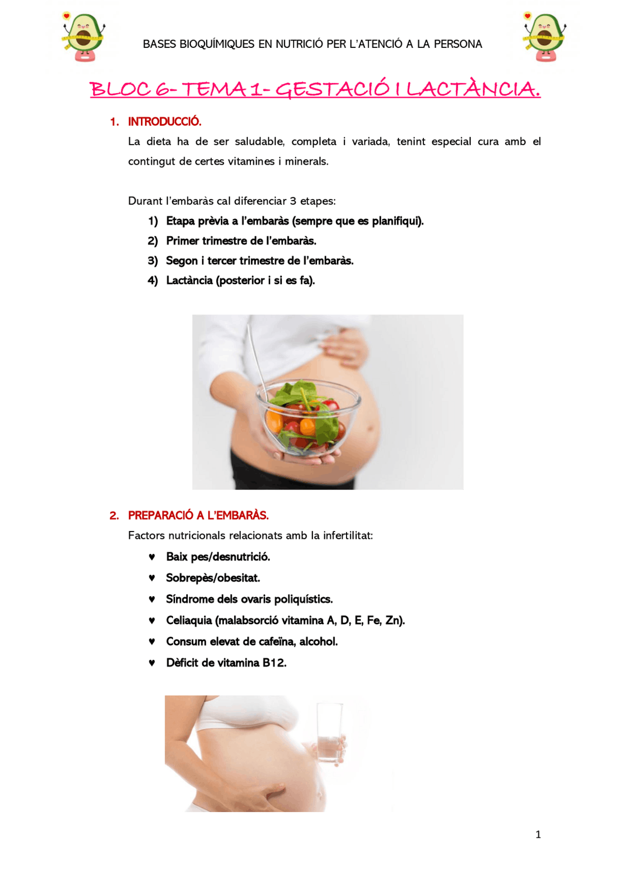 Bloque 6 Tema 1 Gestación Y Lactancia Apuntes De Nutrición Docsity