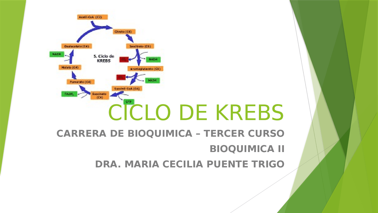 Ciclo de kreps carrera bioquímica | Apuntes de Bioquímica | Docsity