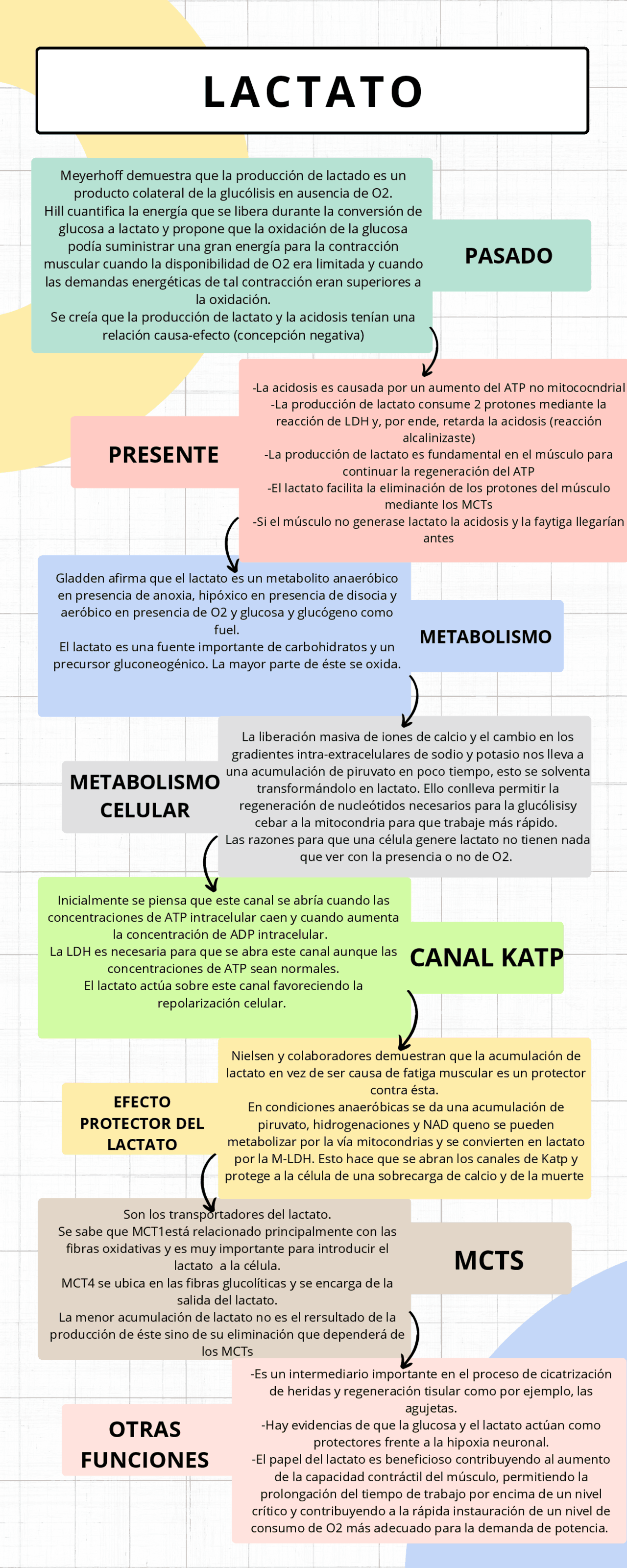 Infografía acerca del papel del lactato | Esquemas y mapas conceptuales ...