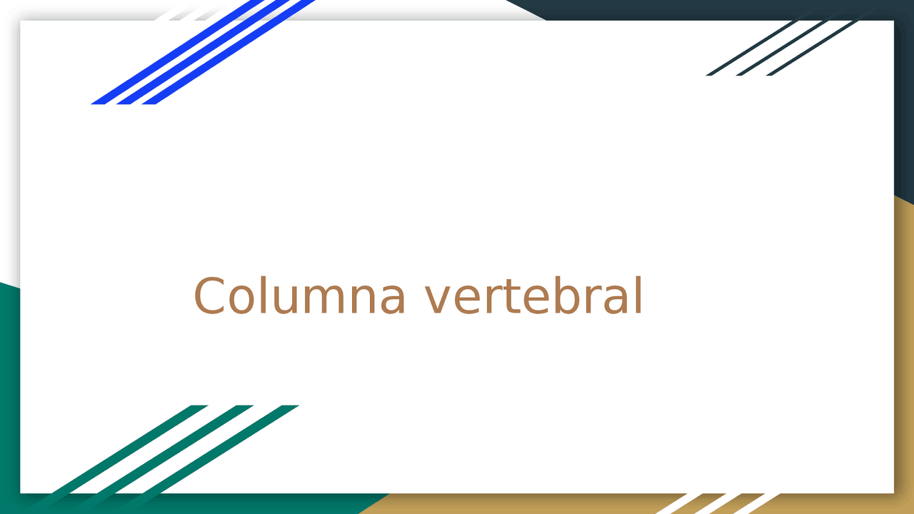 Anatomia De Columna Vertebral Diapositivas De Anatomía Aplicada Docsity