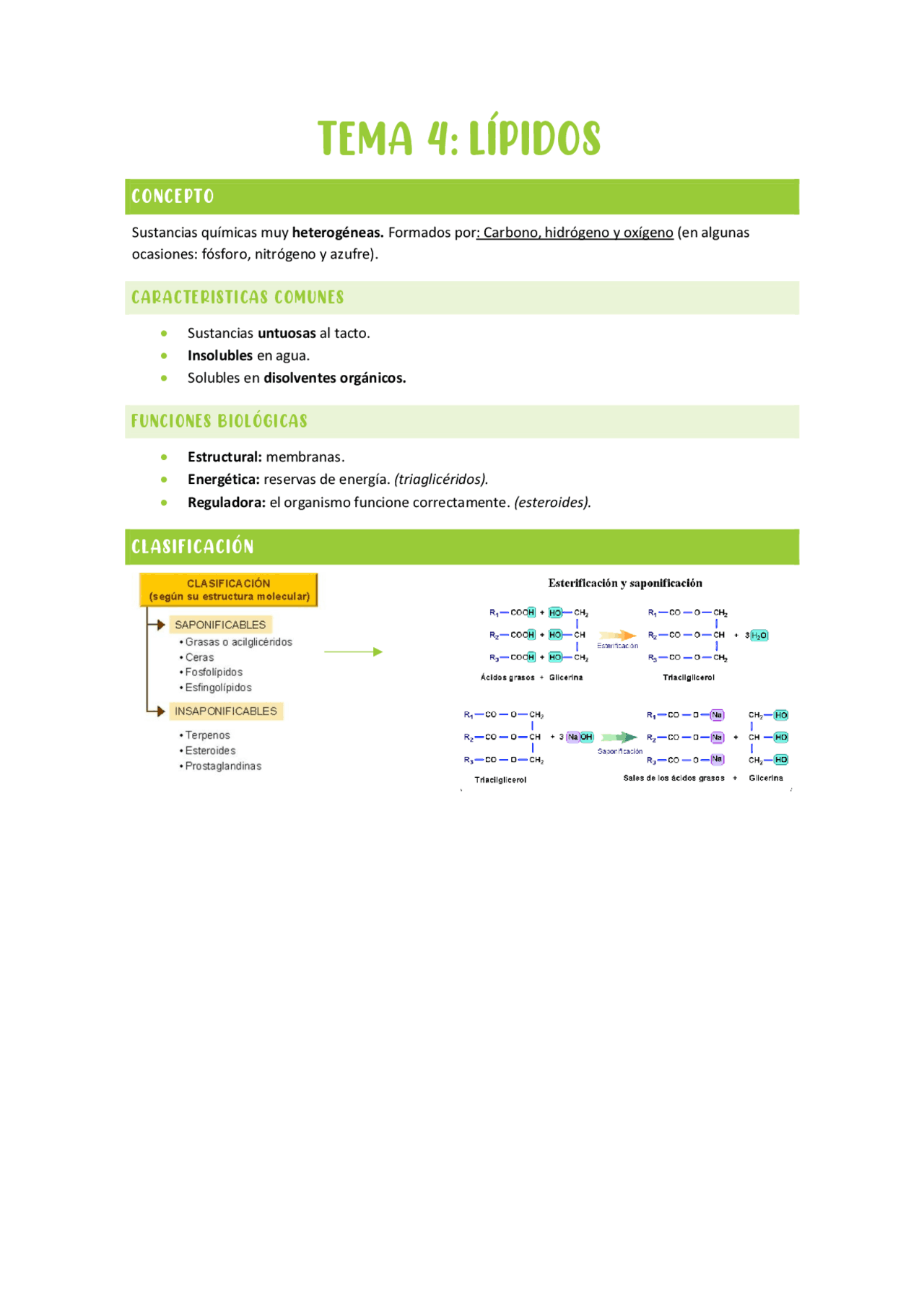 Tema 4 Lípidos De Bioquímca Resúmenes De Biología Docsity