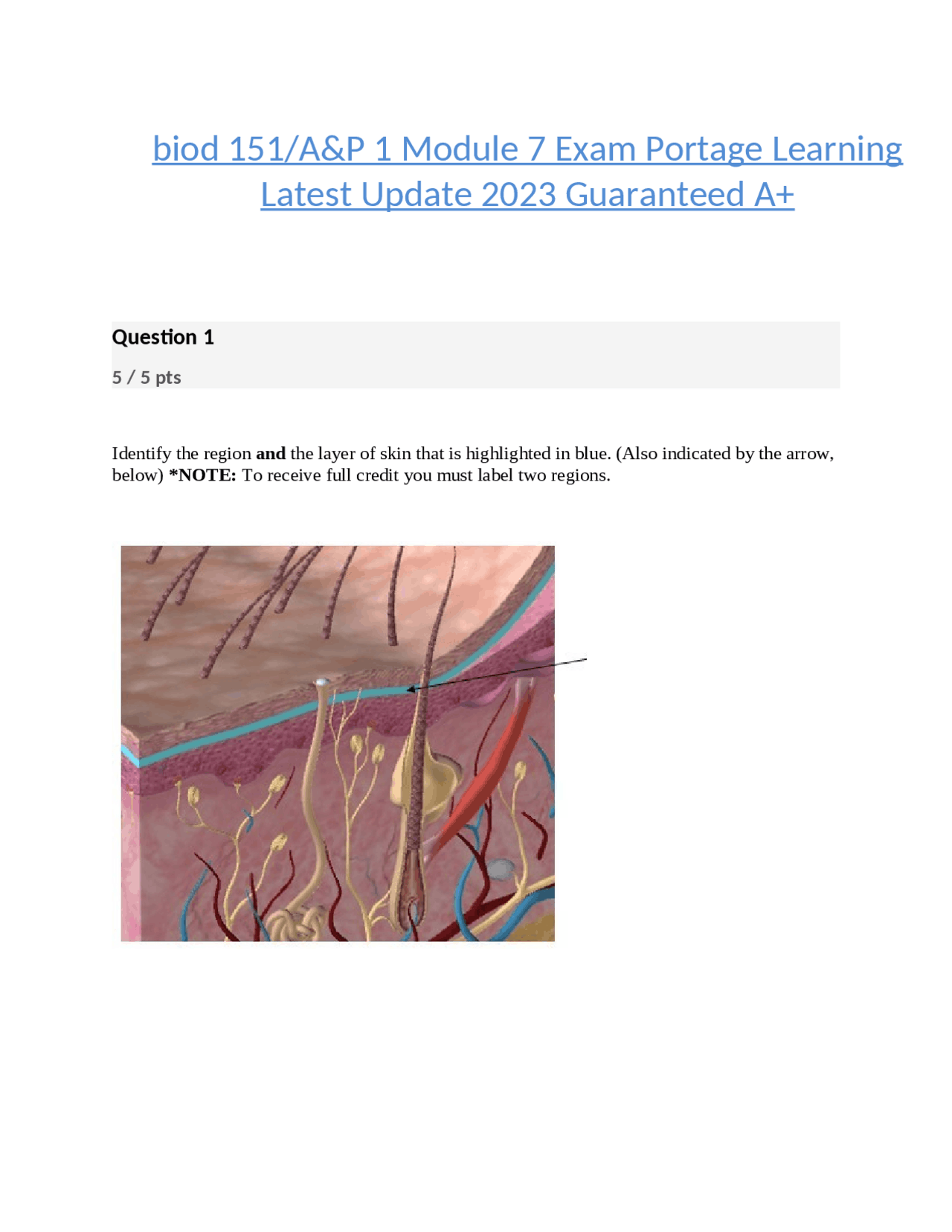 Biod 151/A&P 1 Module 7 Exam Portage Learning Latest Update 2023 ...