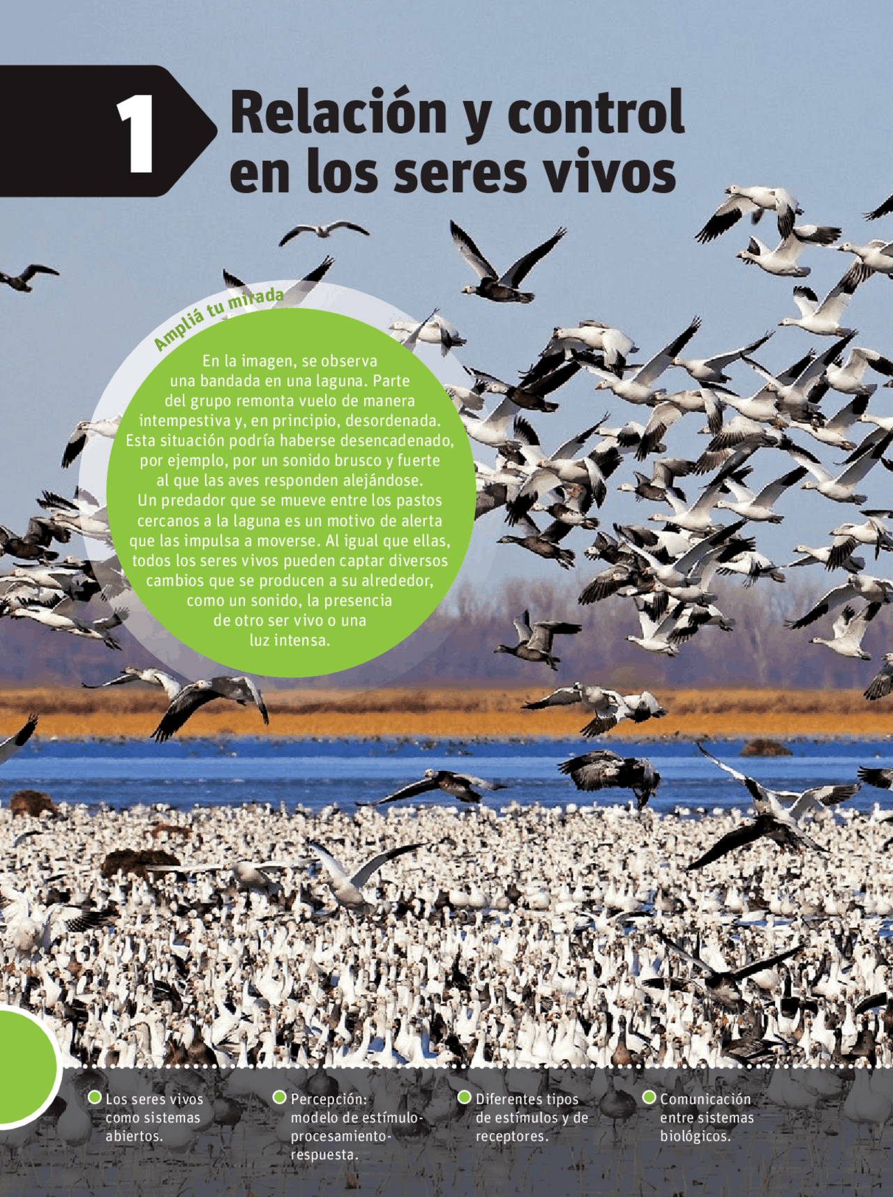 Relación y control en los seres vivos | Apuntes de Biología | Docsity