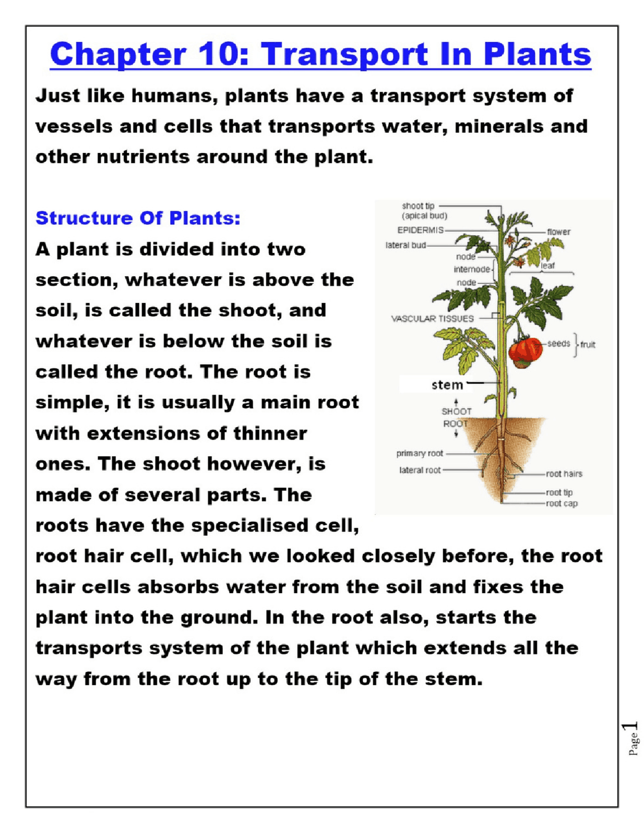 Biology Summarised Notes Chapter 10 Lecture Notes Biology Docsity
